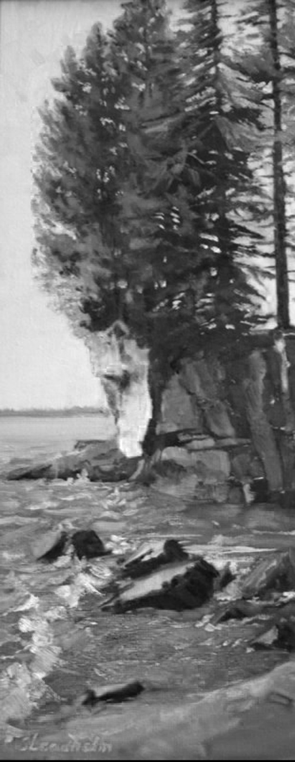 Art Center of St. Peter features Sara Leadholm - The Gustavian Weekly