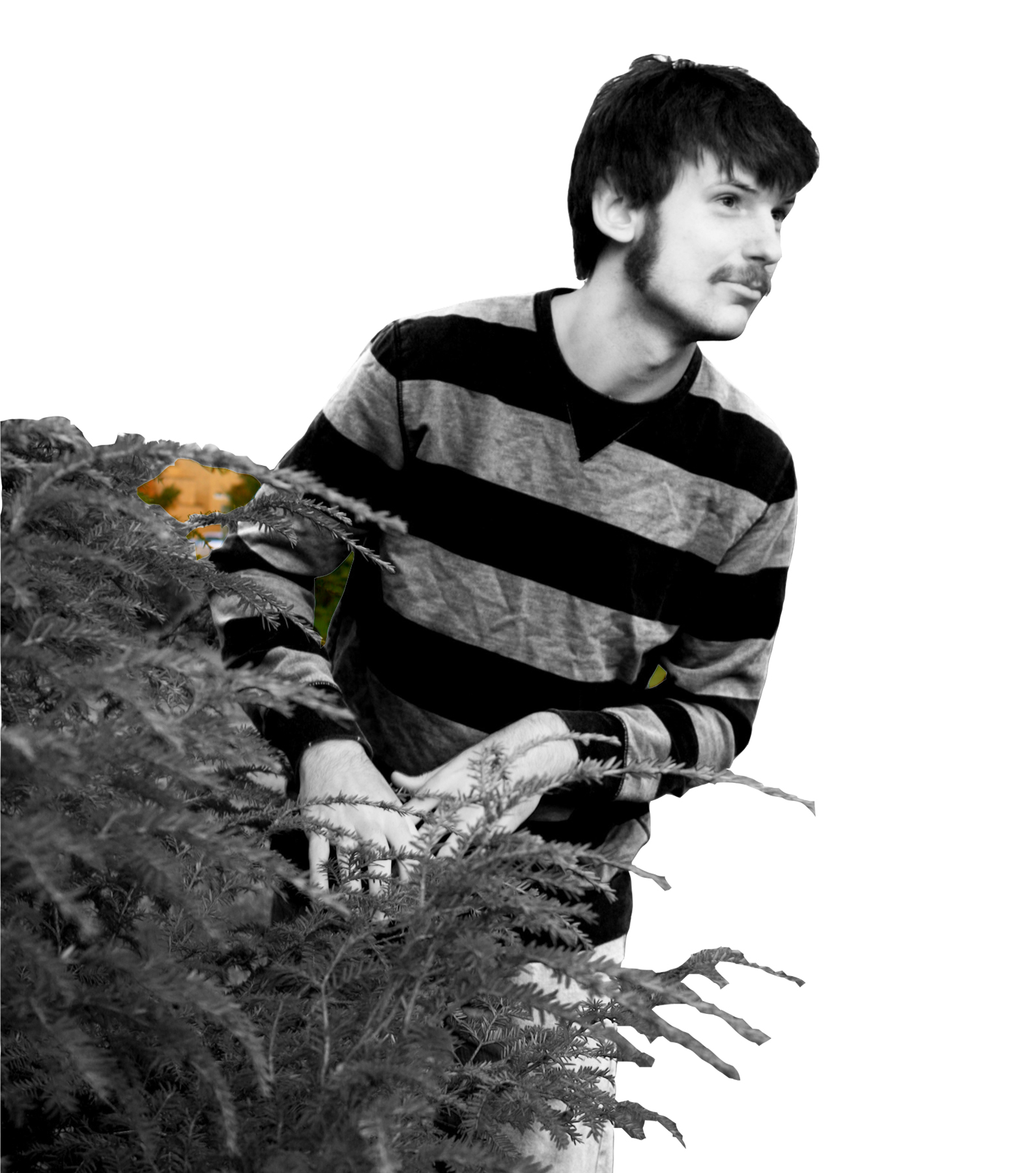 Dan Shimek: A step above the rest - The Gustavian Weekly