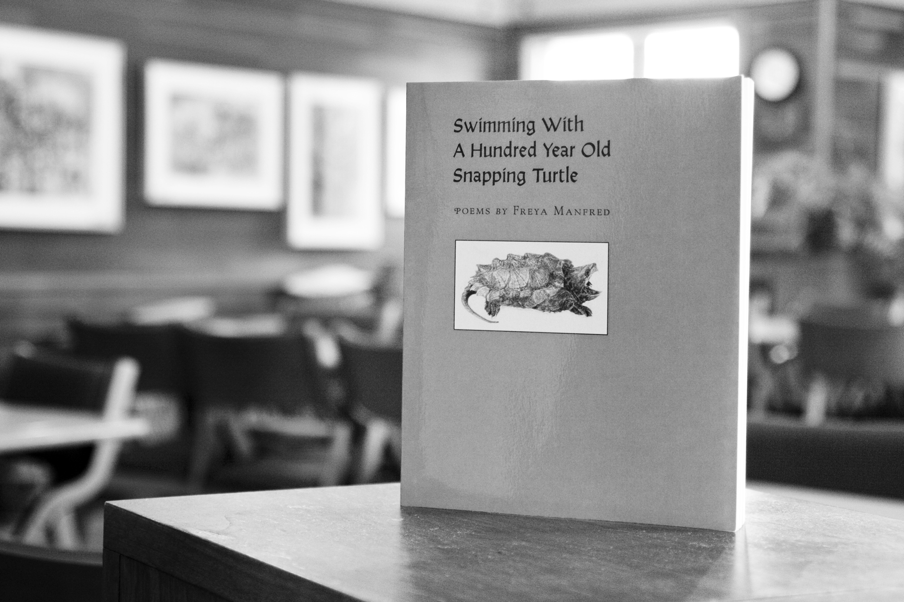 Local Minnesotan Freya Manfred gives poetry reading - The Gustavian Weekly