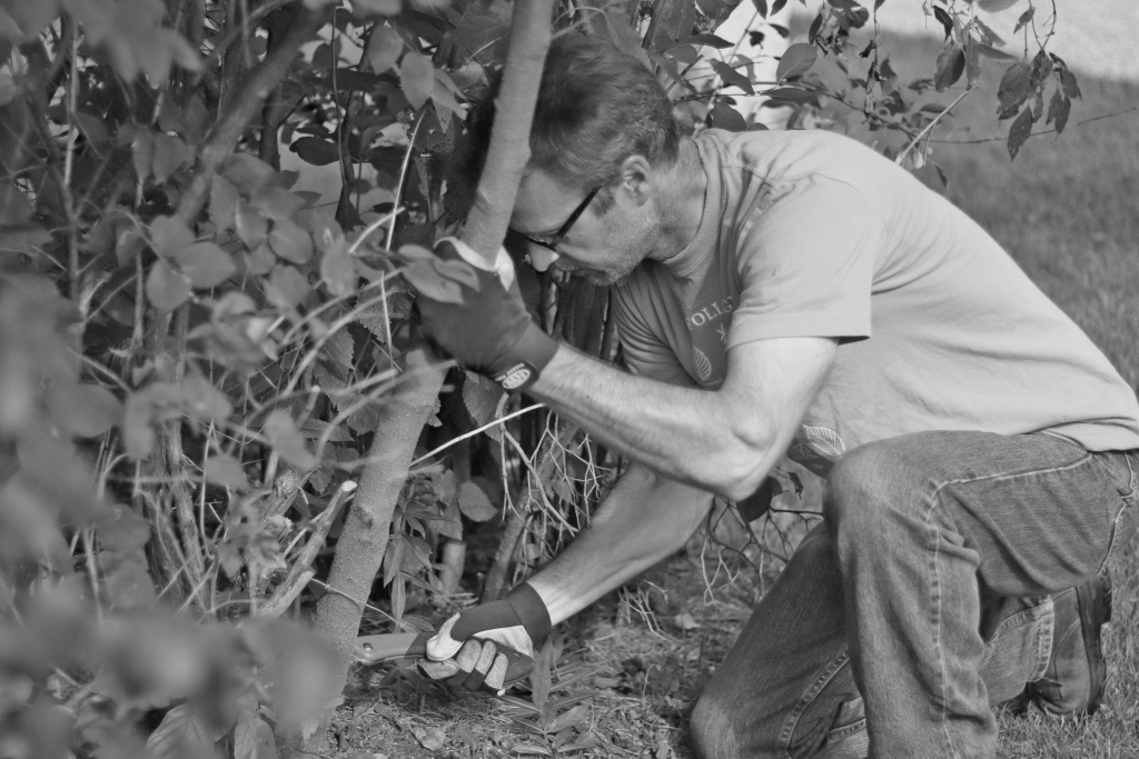 Gustie of the Week: Scott Moeller - The Gustavian Weekly